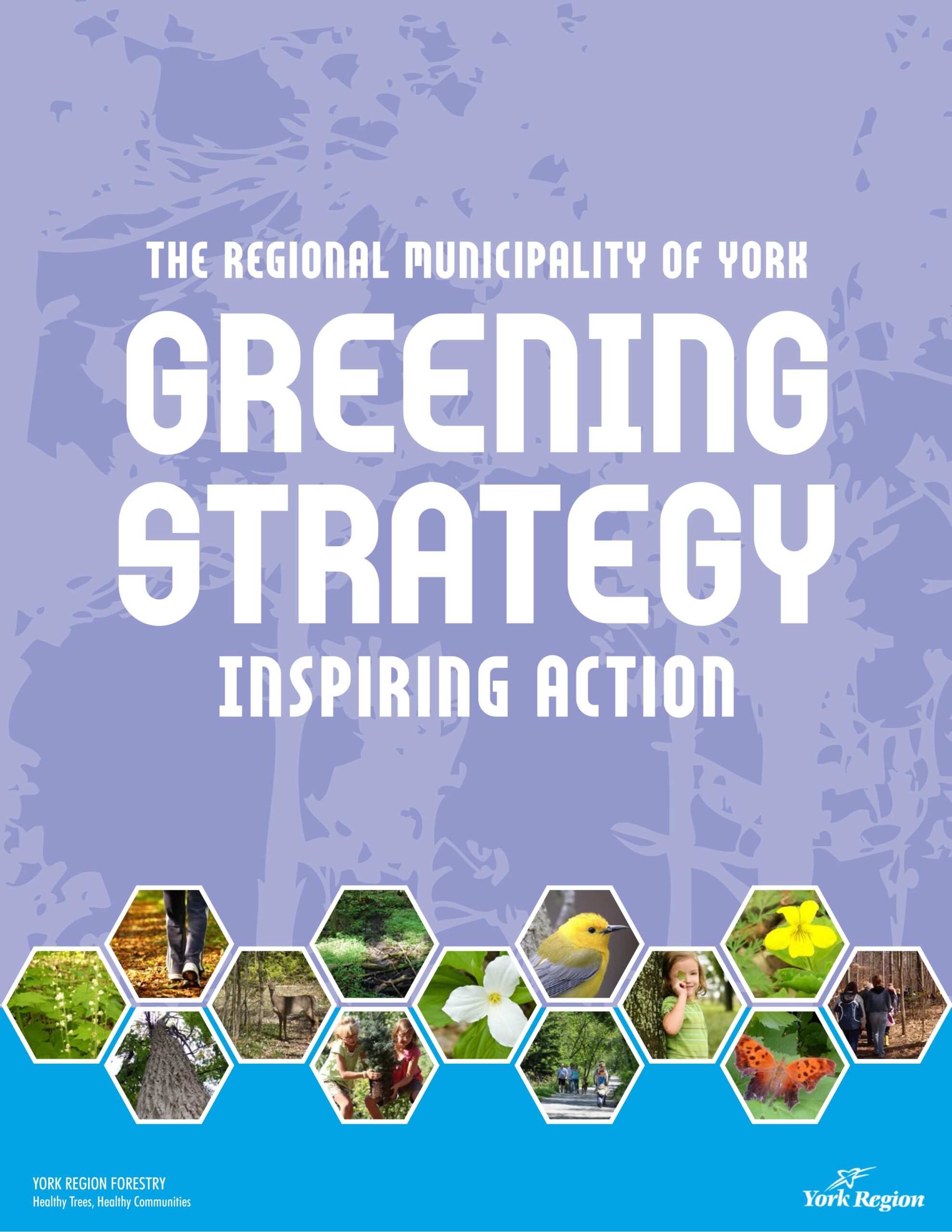 York - Greening Strategy | CivicSurveys
